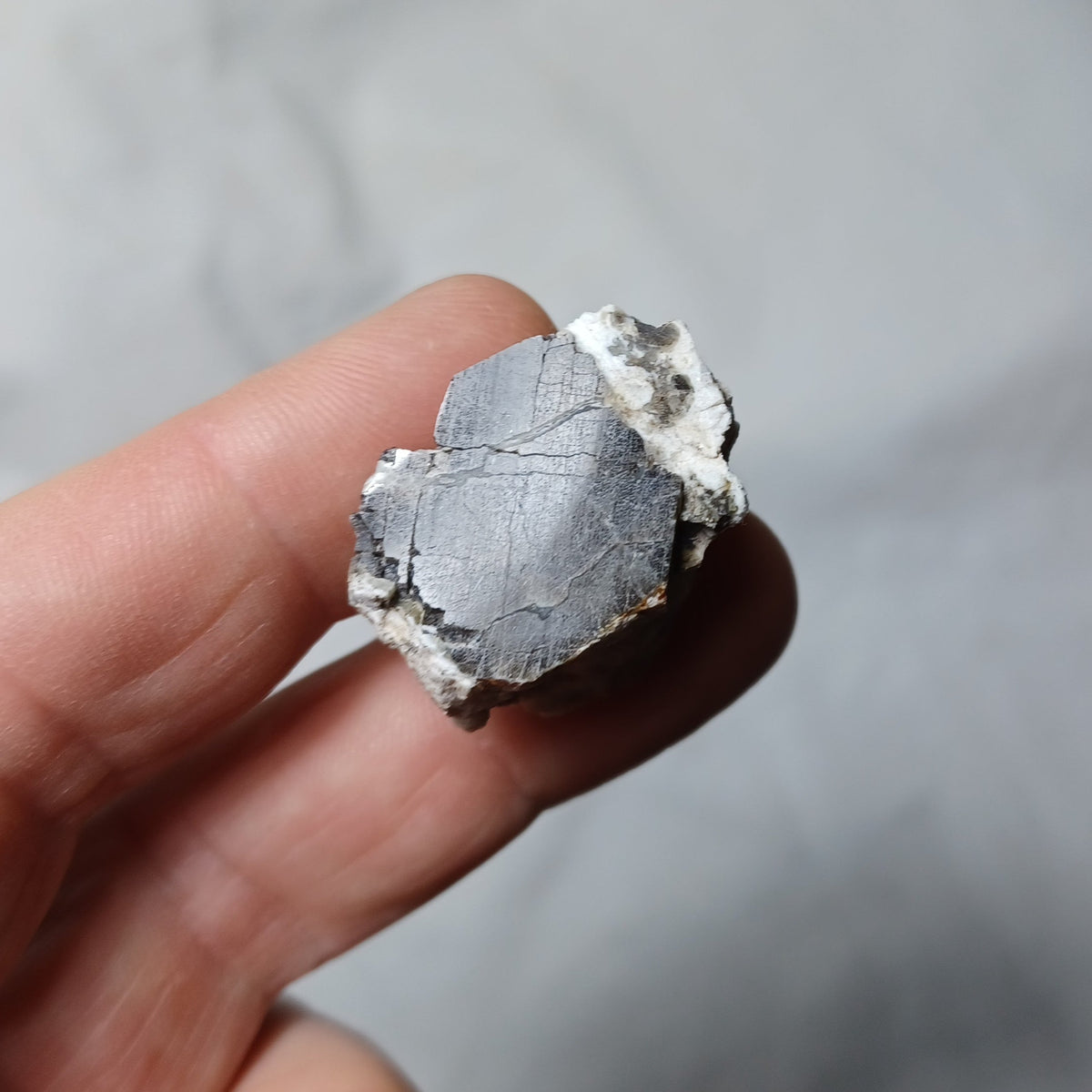 Saphir des Pyrénées – Rupella Fossiles